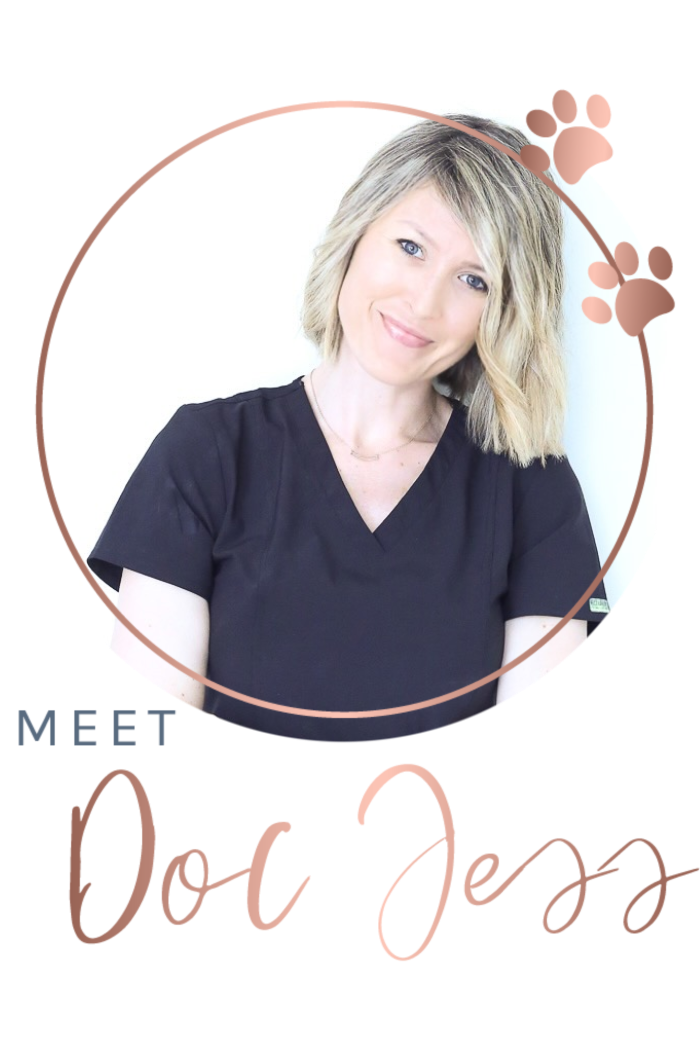 What is the Horse 5-Way Vaccine? - Veterinarian Explains!